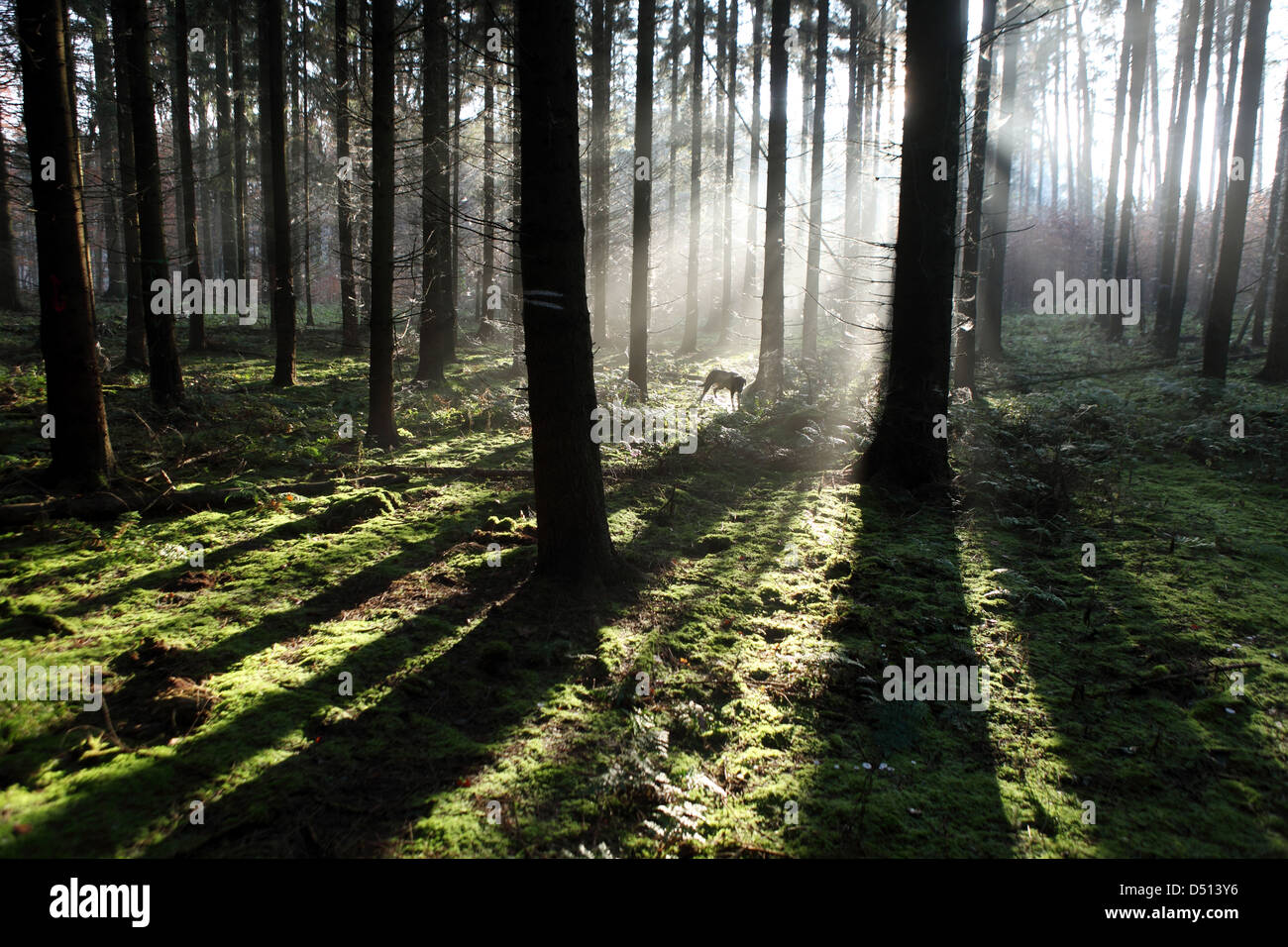 Raking light shadow hi-res stock photography and images - Alamy
