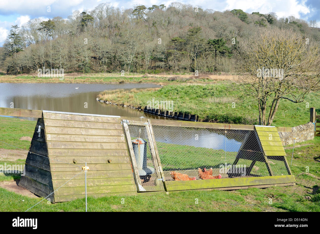 Chicken coop hi-res stock photography and images - Alamy