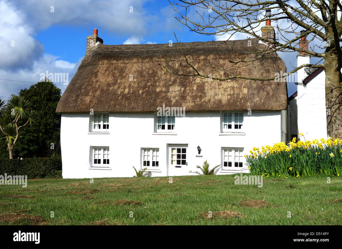 An idyllic thatched cottage in the village of Veryan, Cornwall, England ...