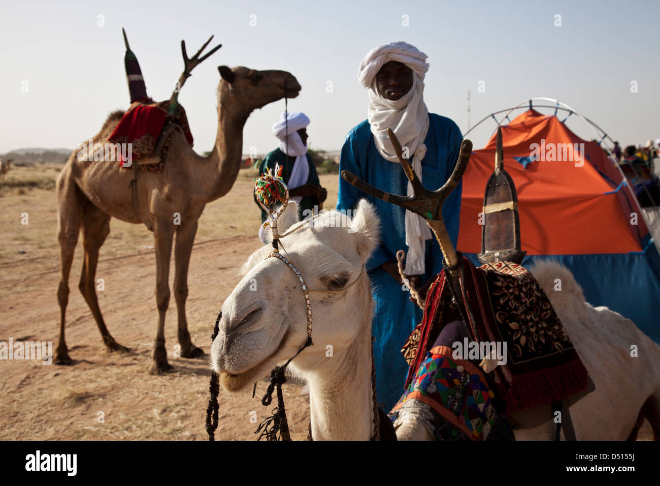 Wodaabe nomads and their camels during Gerewol festival near Ingal ...