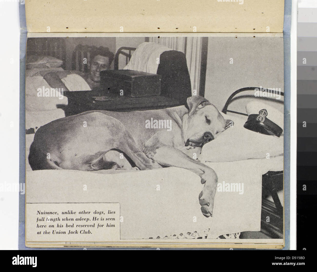 Seaman dog hi-res stock photography and images - Alamy