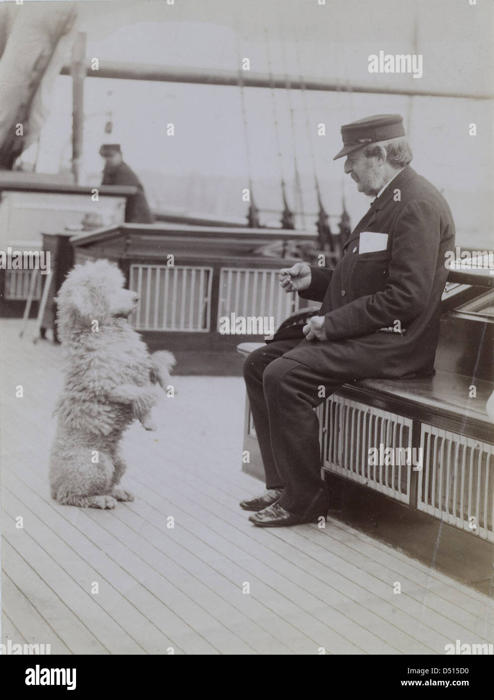 A poodle aboard an unknown yacht, captured by the National Maritime ...