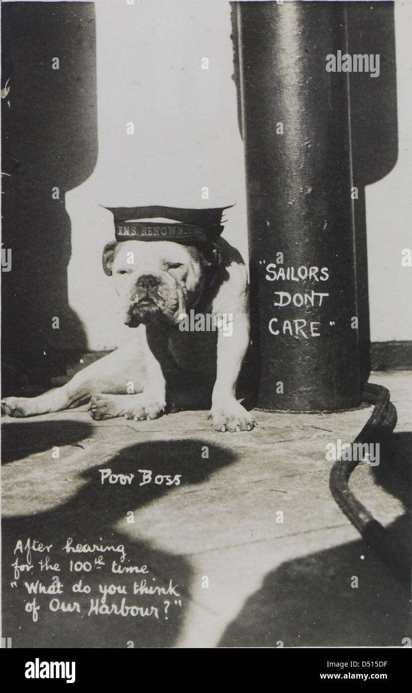This image shows the dog mascot of HMS Renown, a British warship. The ...