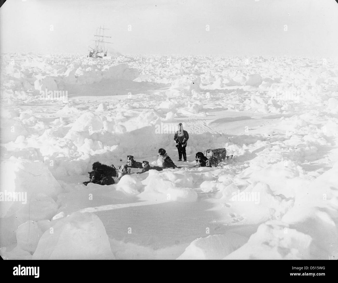 This photograph from the Shackleton Expedition shows a dog-sledge at ...