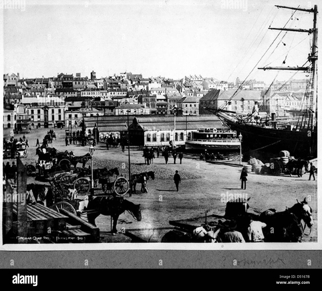 Loading wool hi-res stock photography and images - Alamy