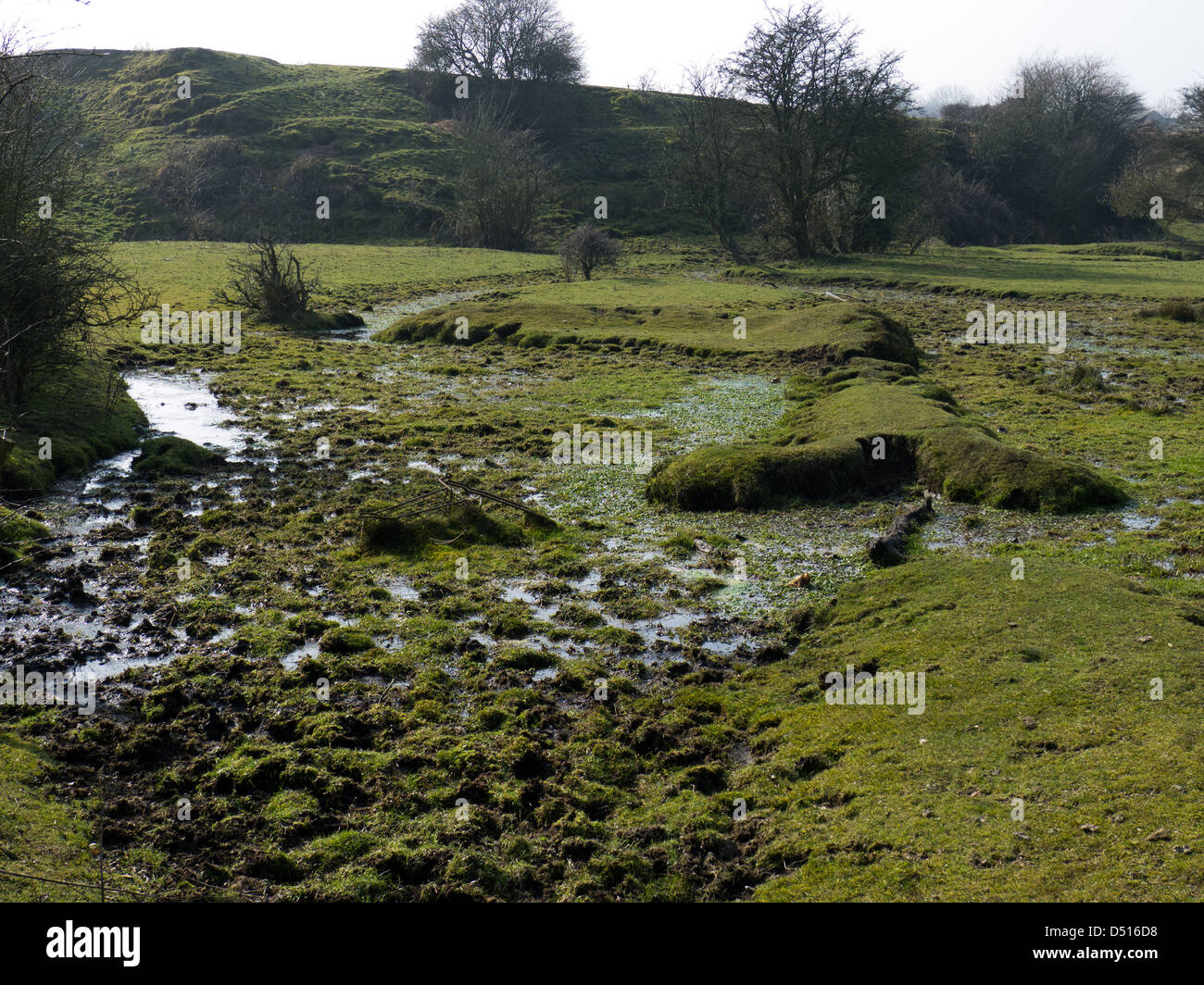 Soggy ground after months of rain Stock Photo - Alamy