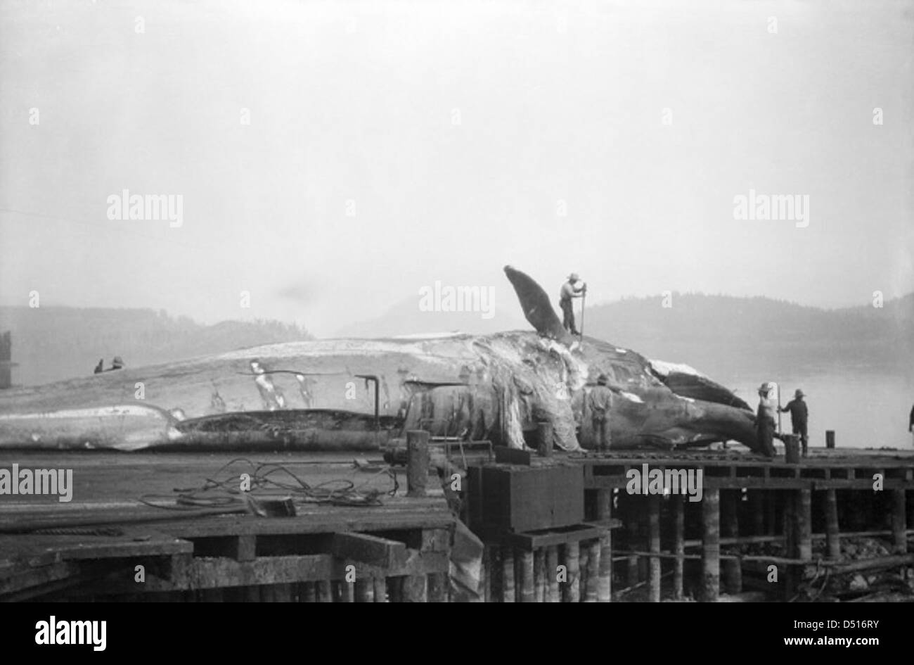Naden hi-res stock photography and images - Alamy
