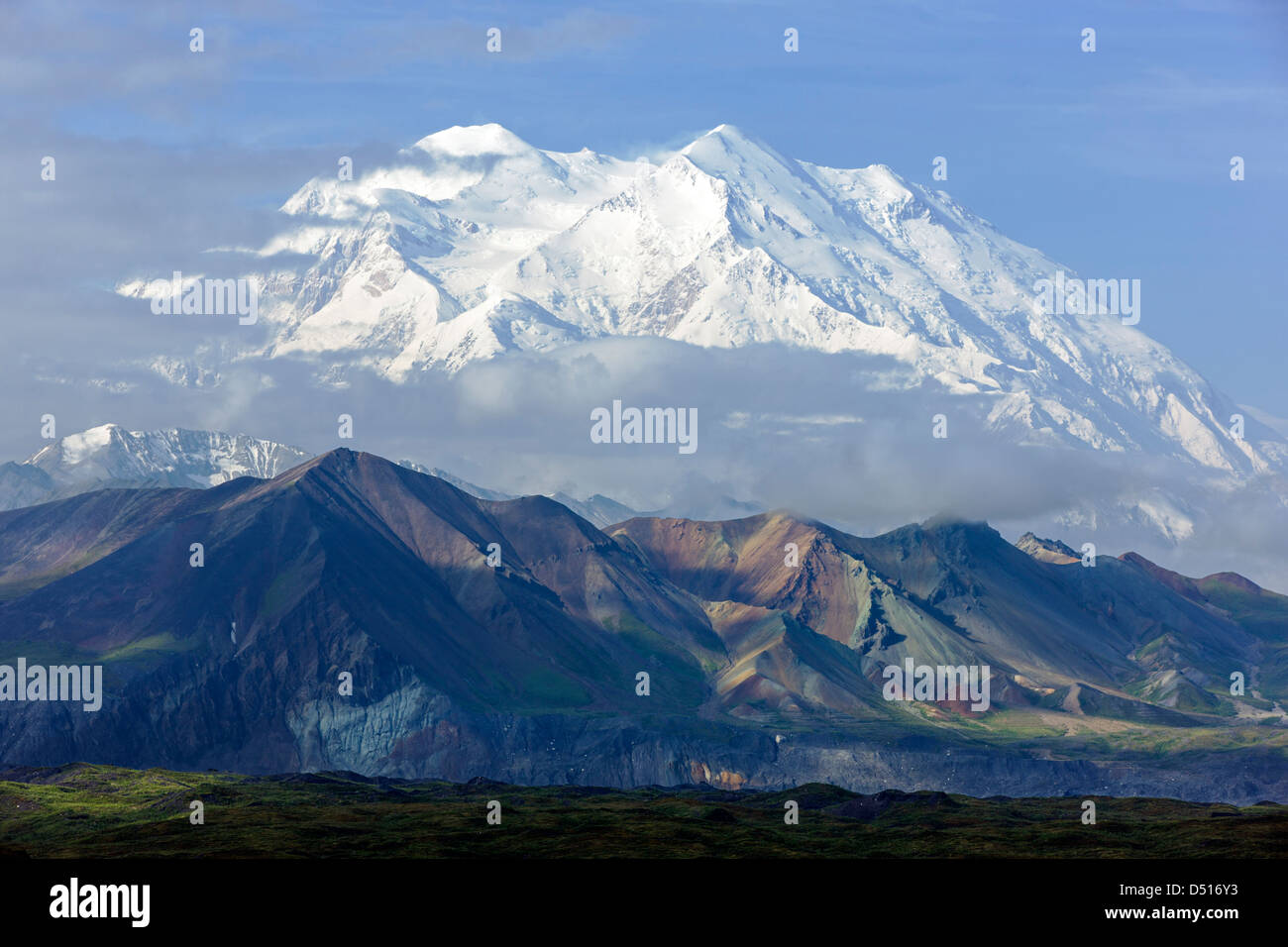 Denali national park summer hi-res stock photography and images - Alamy