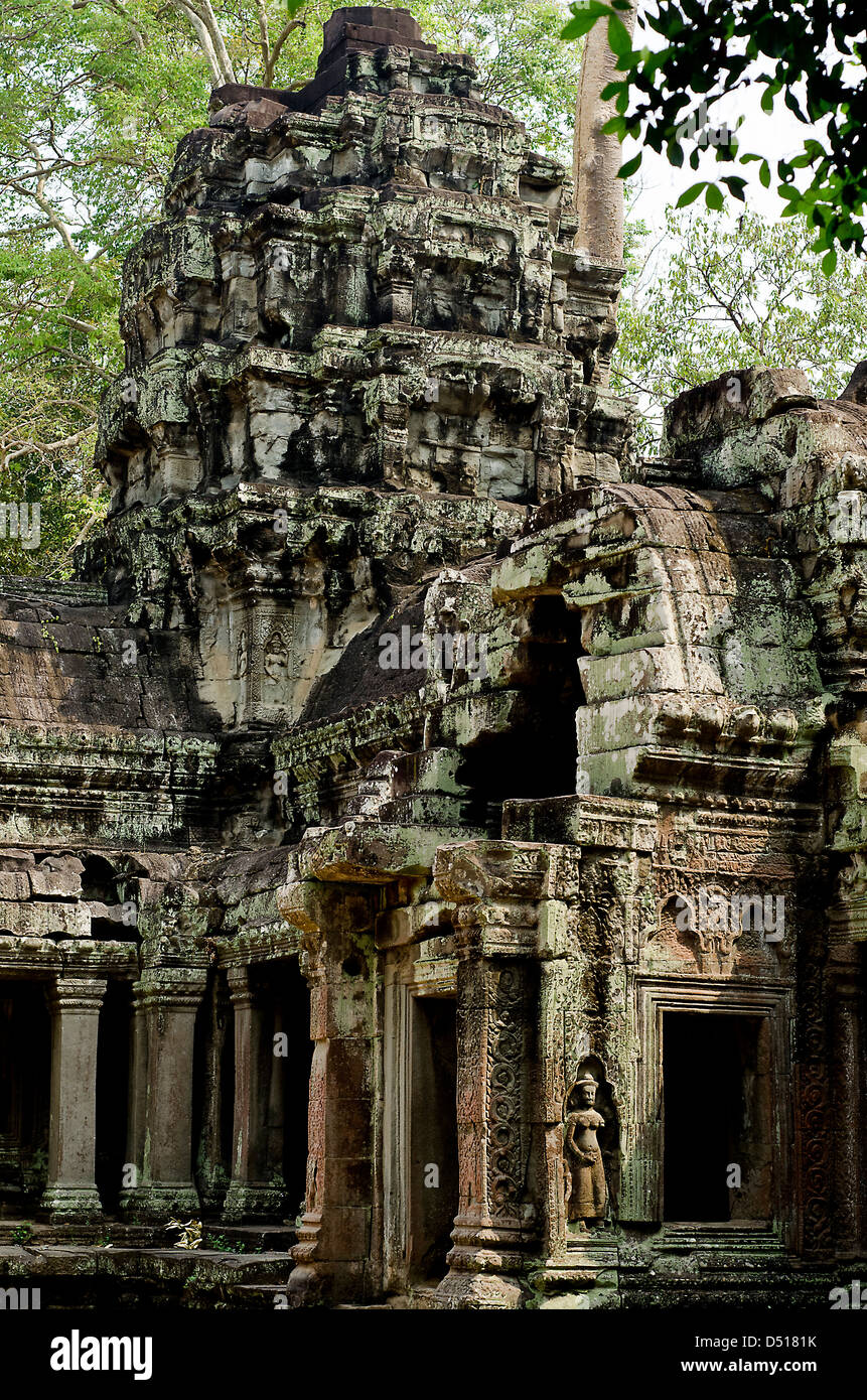 Ta Prohm , Angkor complex , Cambodia Stock Photo - Alamy
