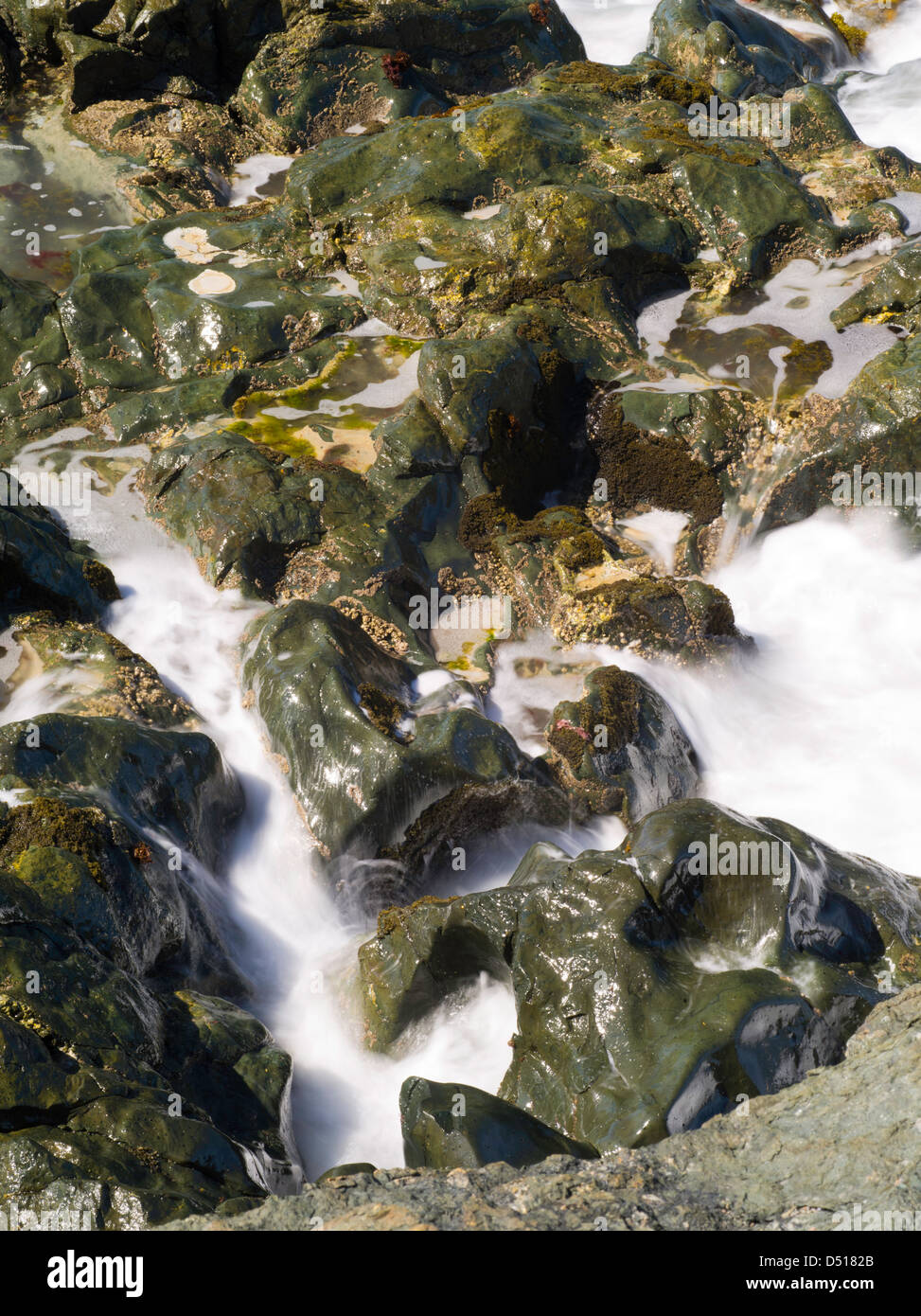 Green stone carving new zealand hi-res stock photography and images - Alamy
