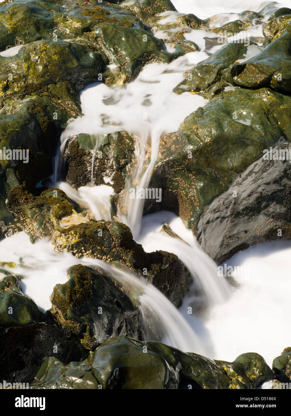 Green stone carving new zealand hi-res stock photography and images - Alamy