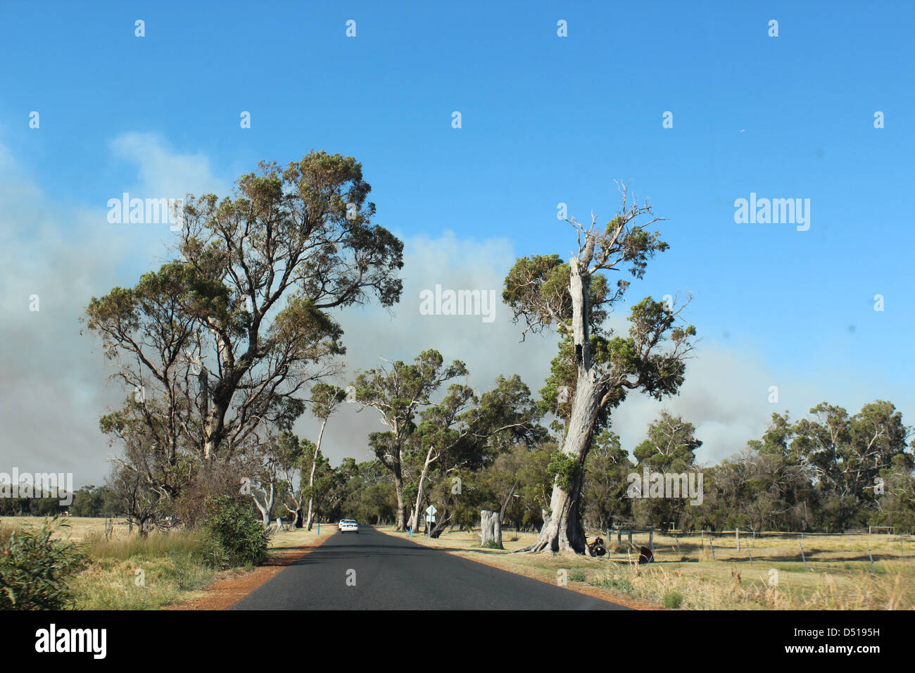 A bush fire rages in forest near Australind western Australia on a hot ...