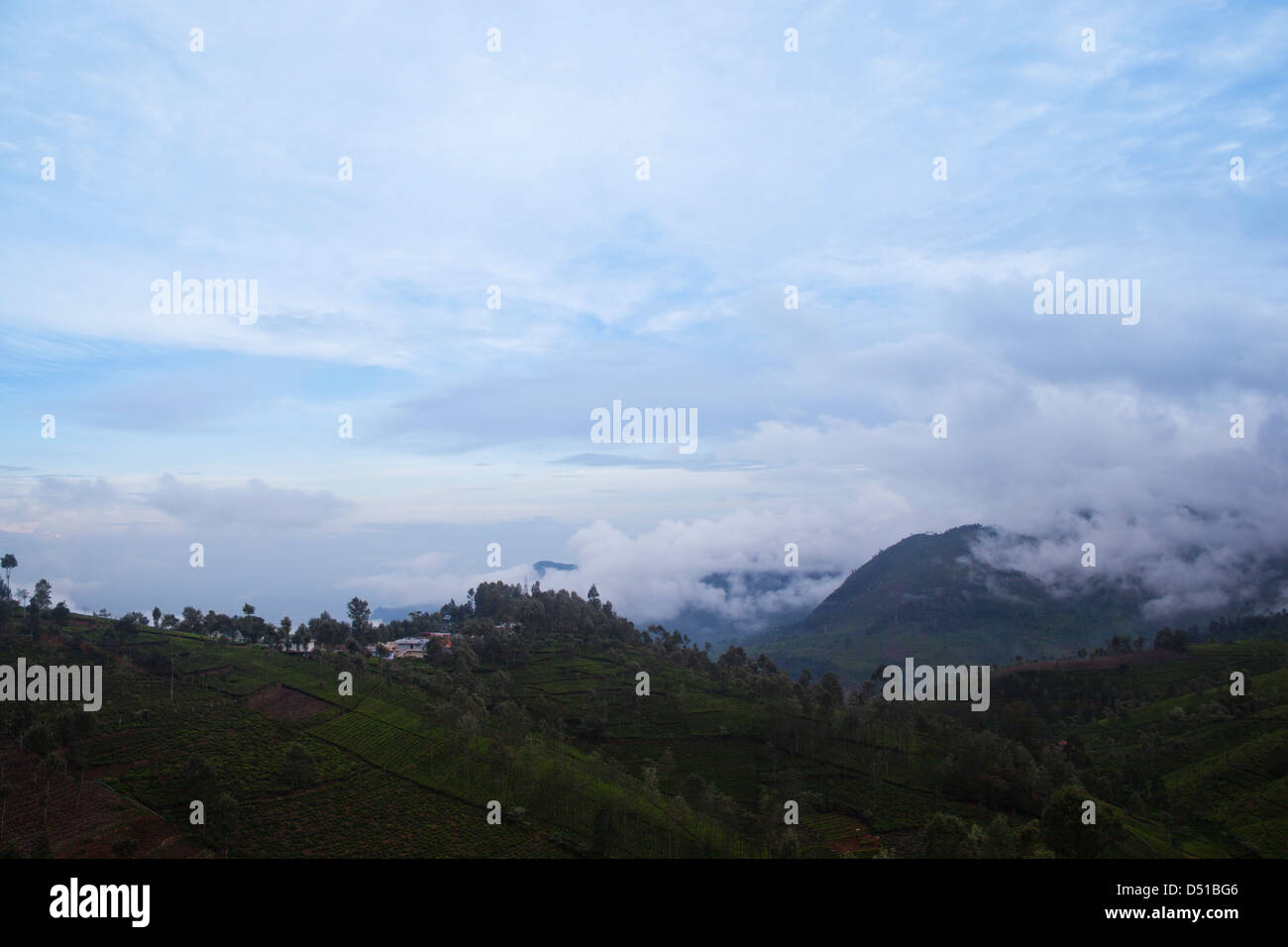 High angle view of the valley under the cloudy sky, Ooty, Tamil Nadu ...