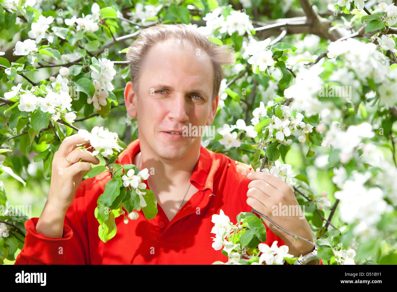 The attractive man at a blossoming apple tree Stock Photo - Alamy