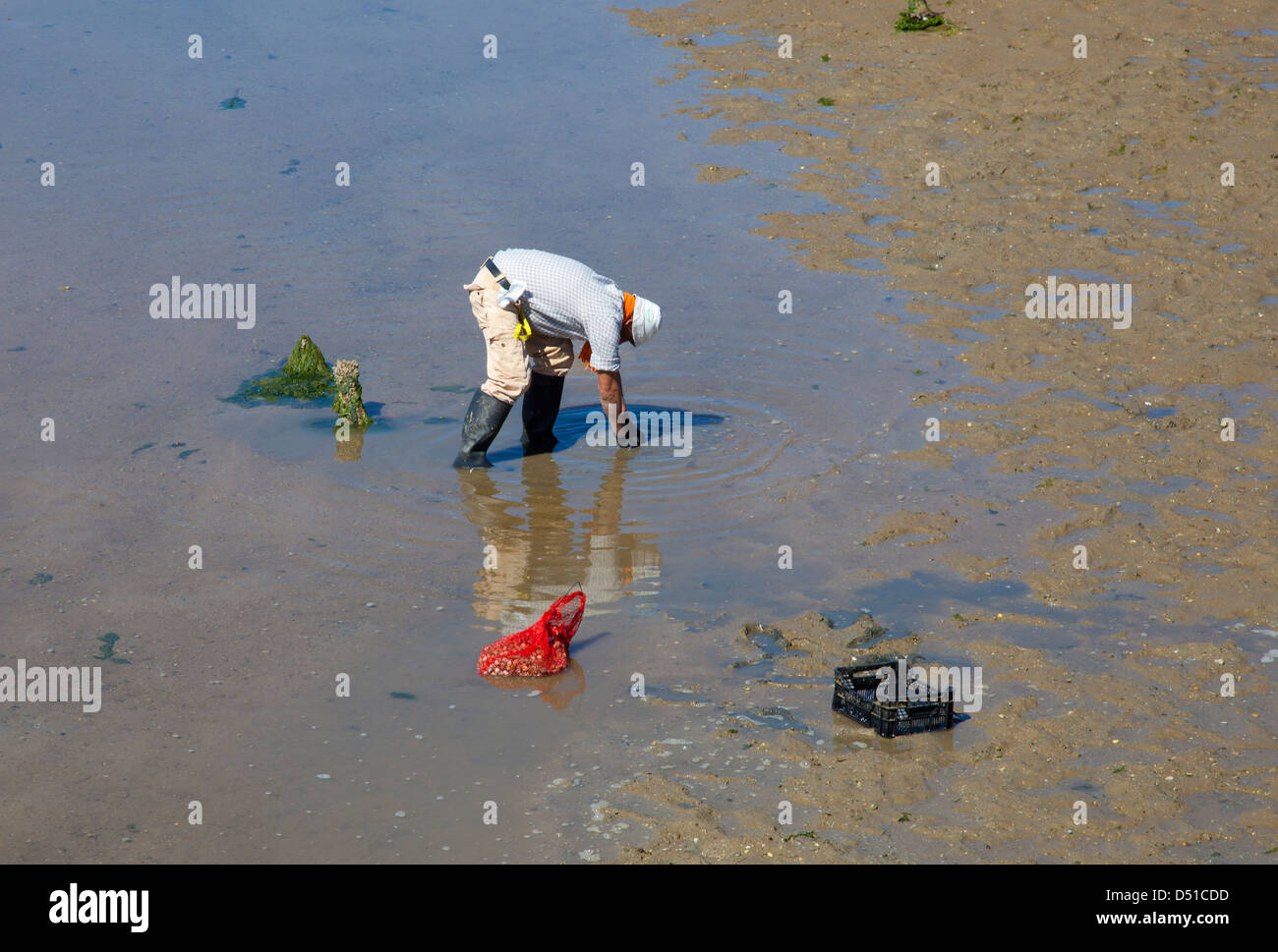 Cockle picking hi-res stock photography and images - Alamy