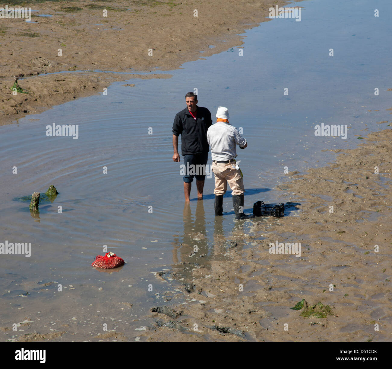 Cockle gathering hi-res stock photography and images - Alamy