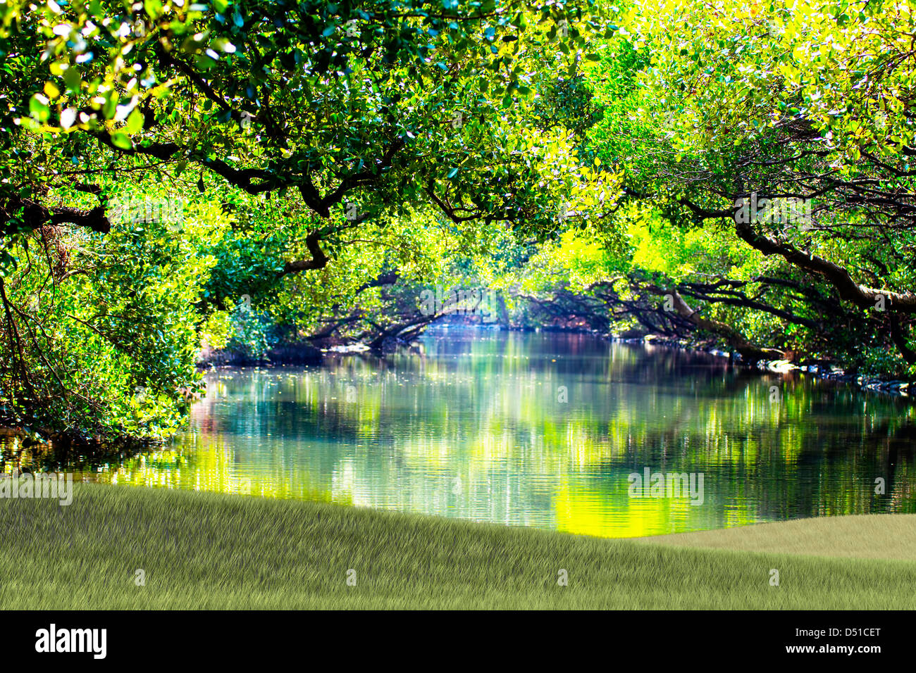 Nice green background for adv or others purpose use Stock Photo - Alamy