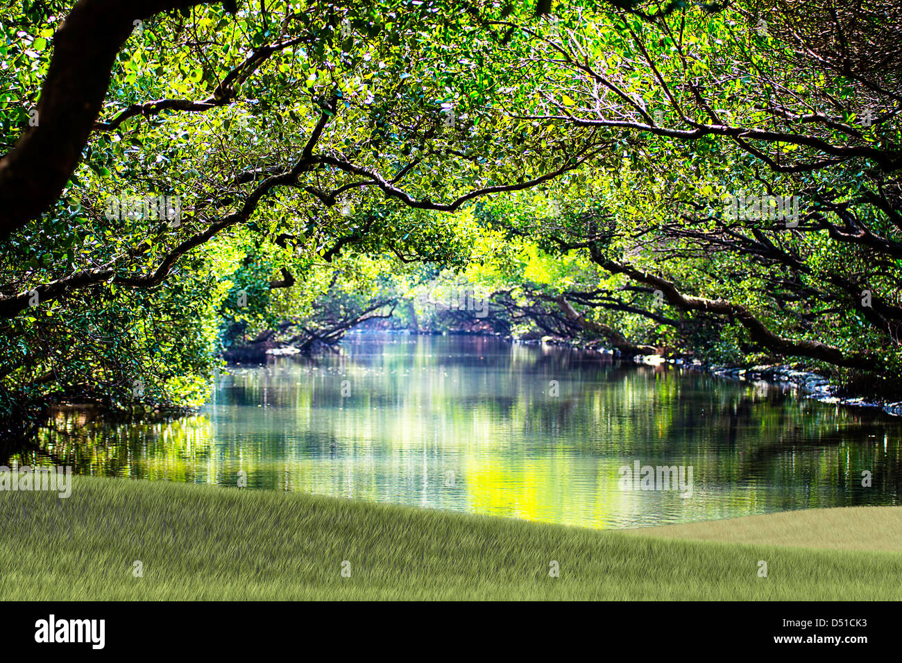 Nice green background for adv or others purpose use Stock Photo - Alamy