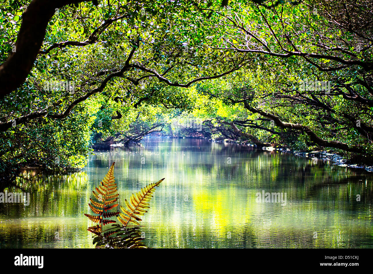 Nice green background for adv or others purpose use Stock Photo - Alamy