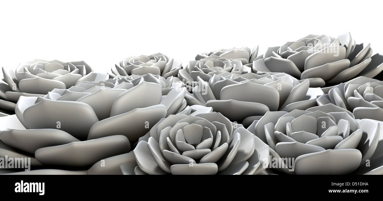 A grey unsaturated selection of rock rose succulents on an isolated ...