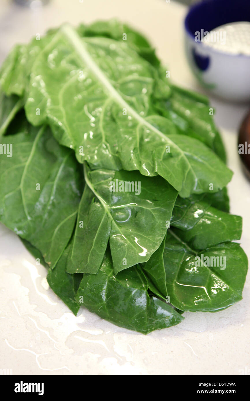Fresh chard hi-res stock photography and images - Alamy