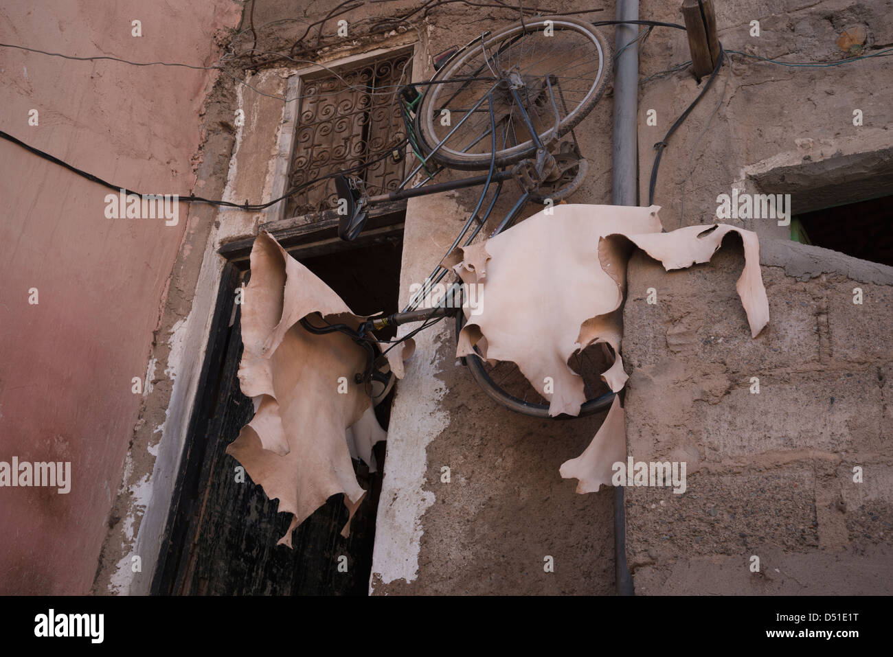 Leather drying outside, at a tannery Stock Photo - Alamy