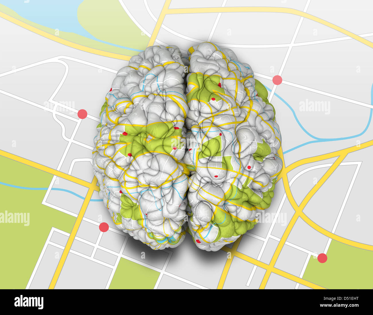 A brain wrapped with a simple road map texture laying on a flap road ...