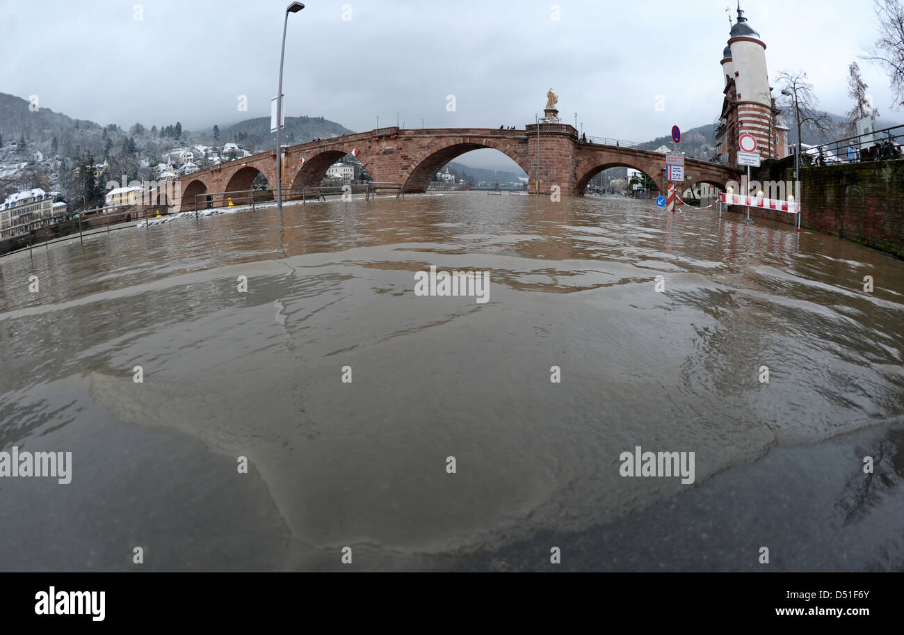 A street near the Old Bridge is flooded in Heidelberg, Germany, 09 ...