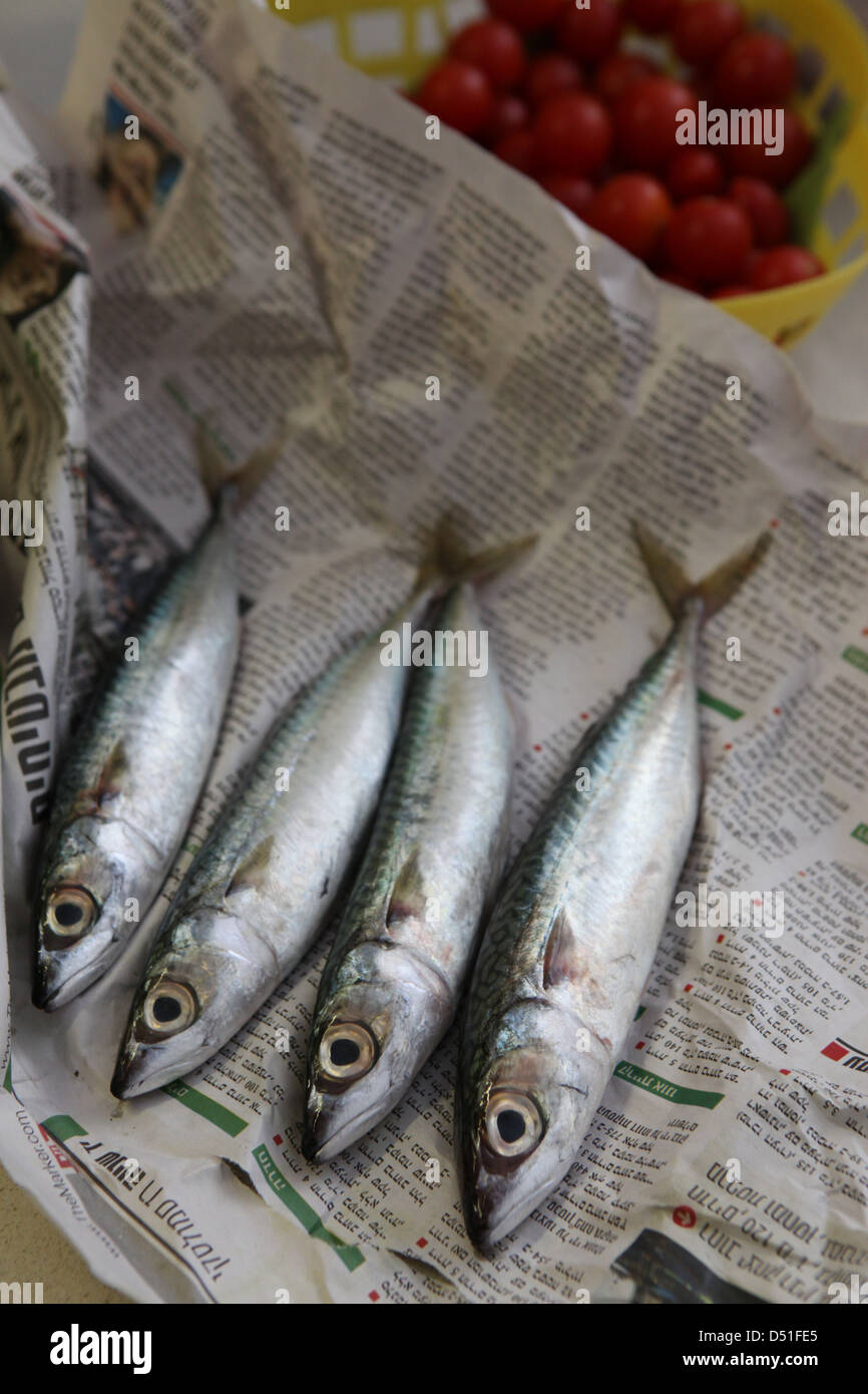 Mackerel fish on newspaper Stock Photo - Alamy