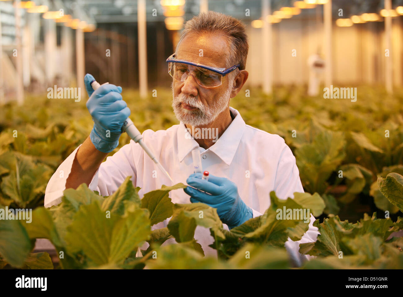 Bayer cropscience hi-res stock photography and images - Alamy