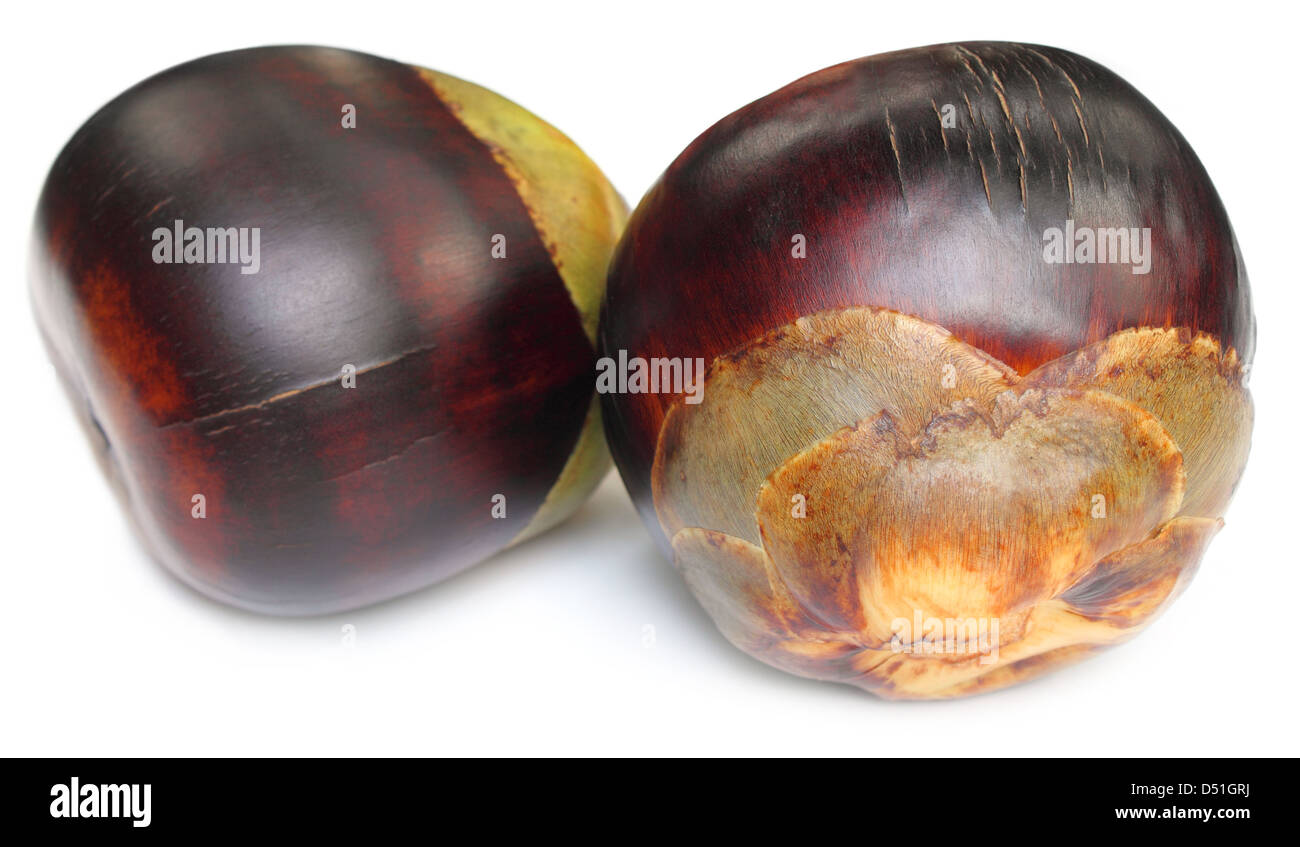 Tal palm hi-res stock photography and images - Alamy