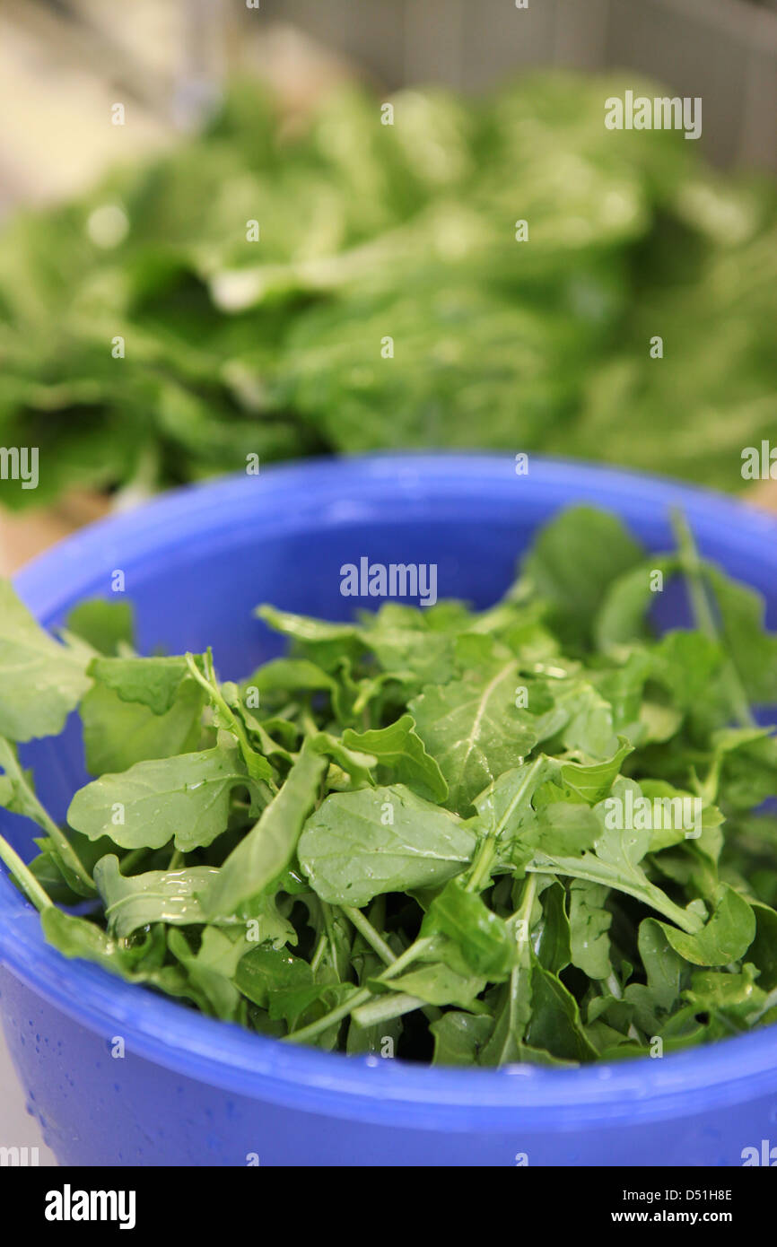 Roquette leaves hi-res stock photography and images - Alamy