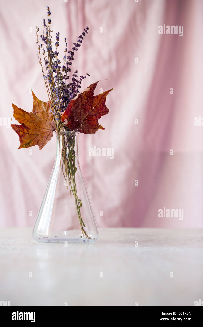Conical bulb stem hi-res stock photography and images - Alamy