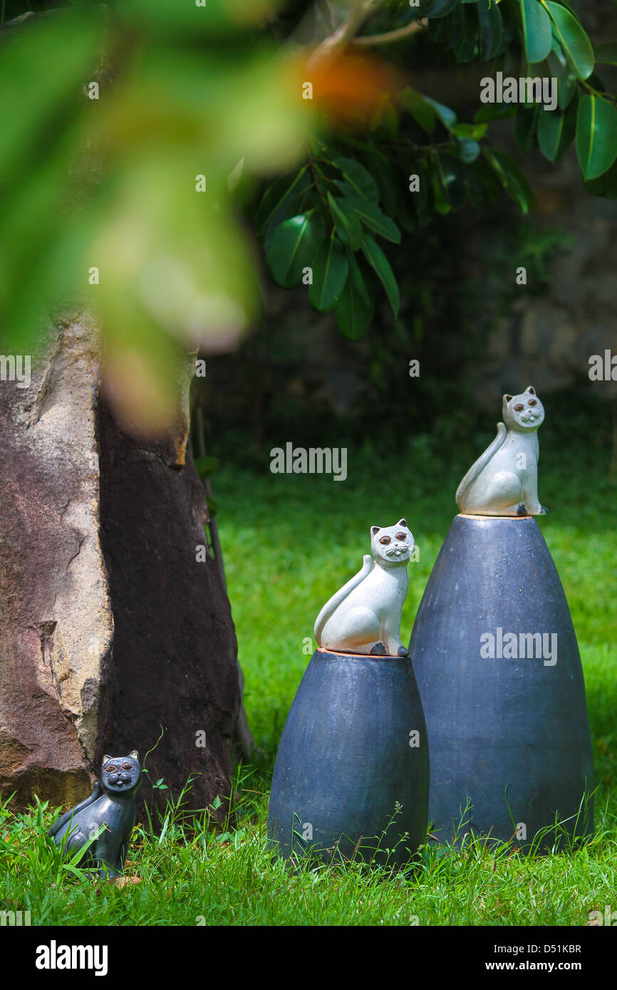 Three cats at the lawn Stock Photo - Alamy