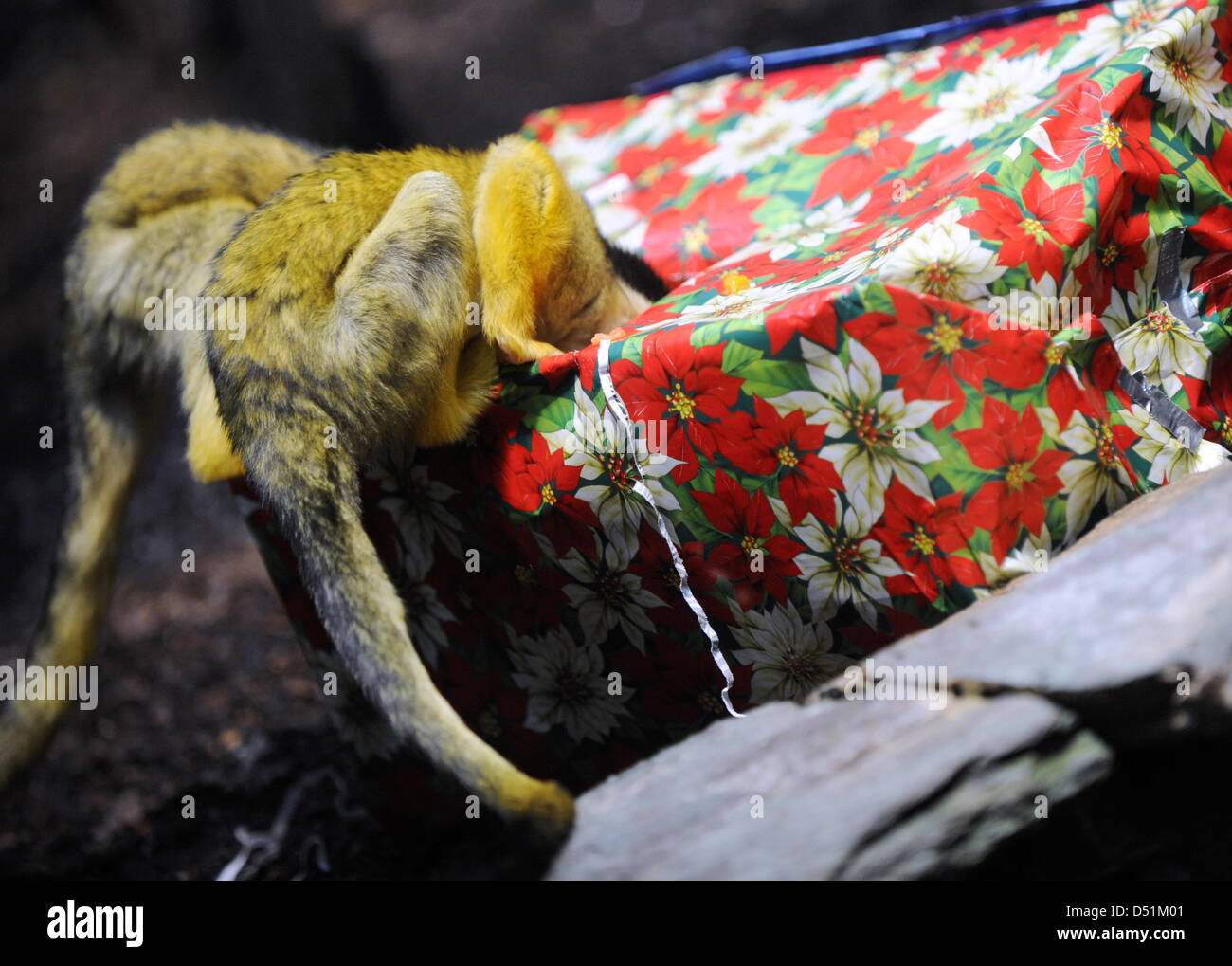 Children framework hi-res stock photography and images - Alamy