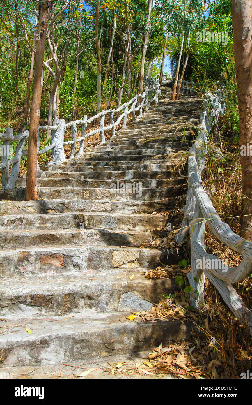 ladder in the trees Stock Photo - Alamy