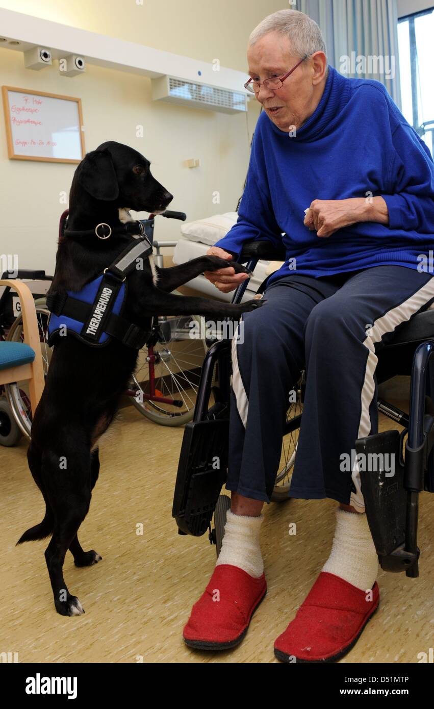 Sister clara dog hi-res stock photography and images - Alamy