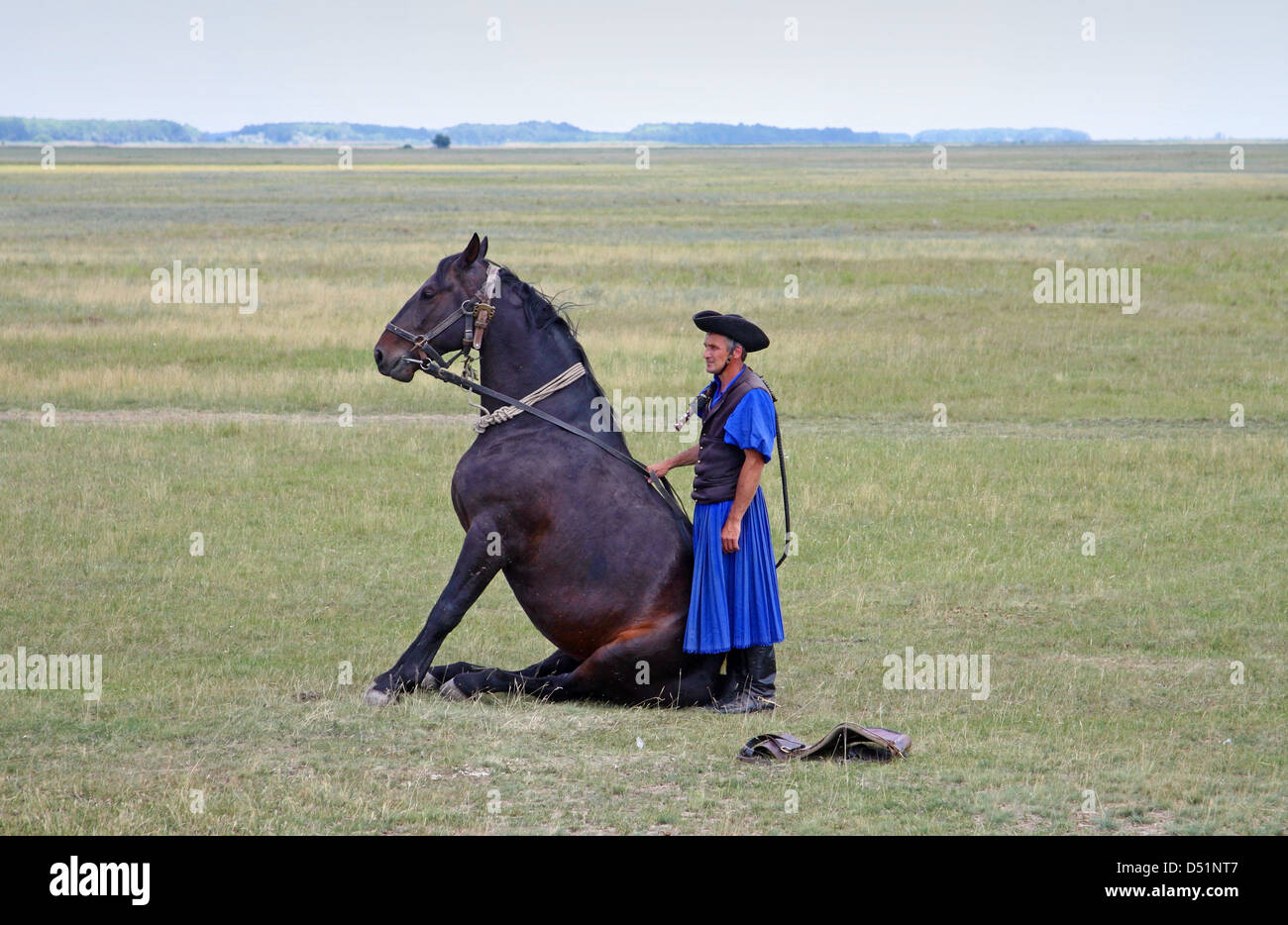 Hortobágy national park horse hi-res stock photography and images - Alamy