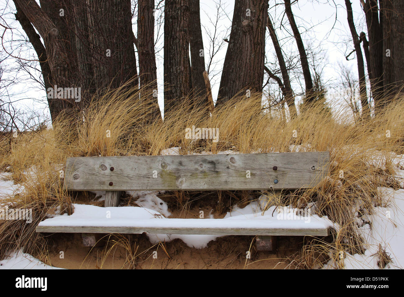 Peaceful park bench set amidst windswept dunes Stock Photo - Alamy