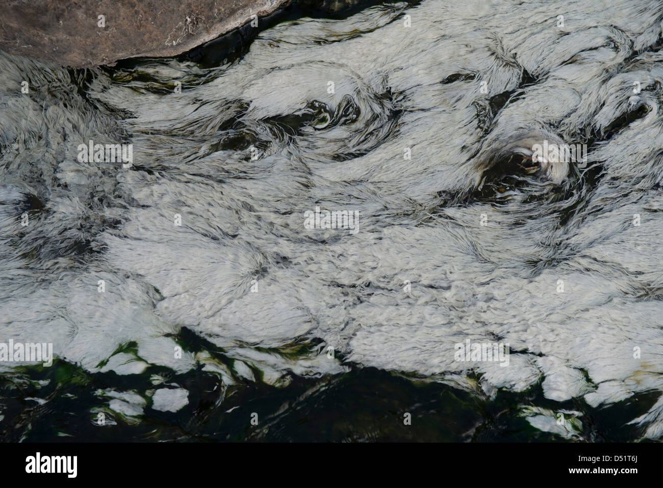 Hot spring bacteria in Chae Son National Park, Lampang, Thailand Stock ...