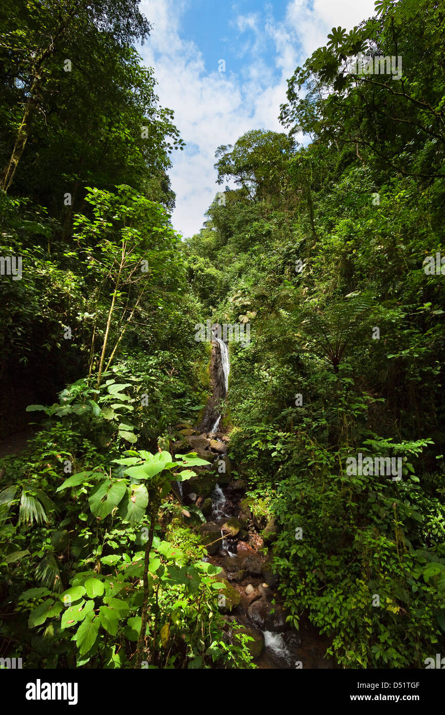 Waterfall at Arenal Hanging Bridges where the rainforest is accessible ...