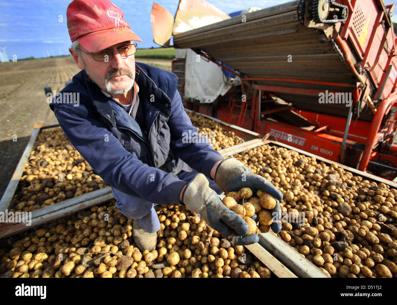 Agriculturist Hans-Joachim Schuetz presents recently harvested potatoes ...