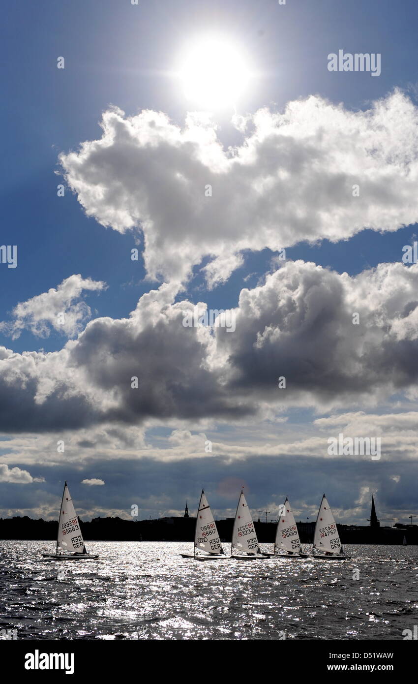 Laser class sailing boats during a regatta on Aussenalster river in ...