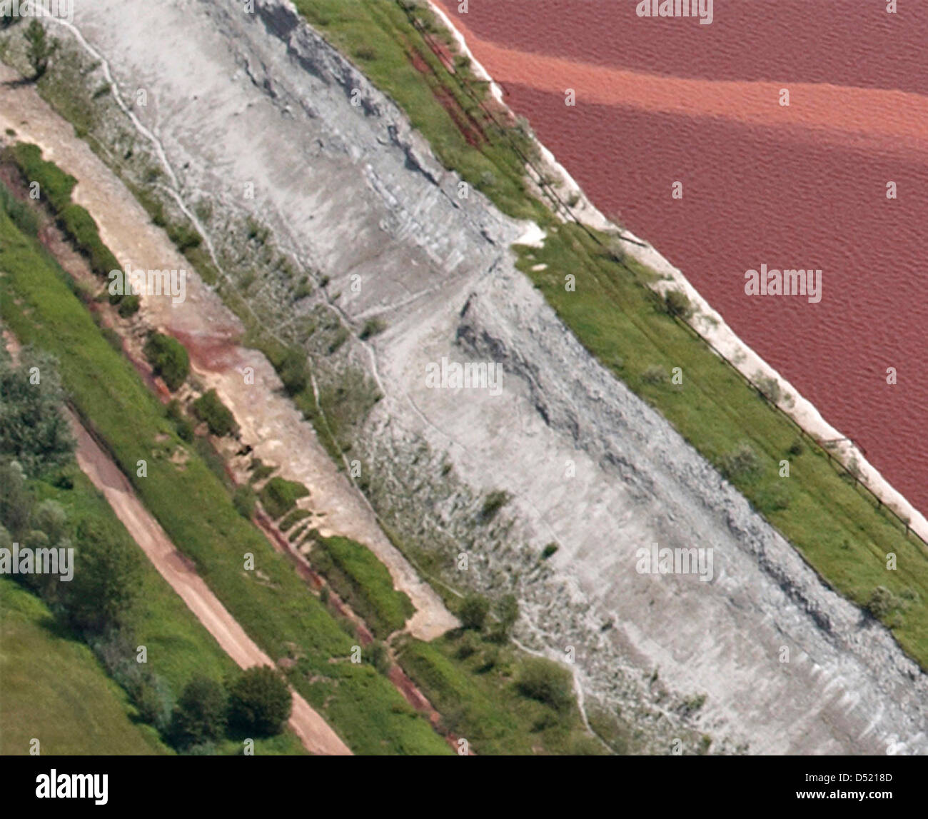 A file picture of the World Wife Fund for Nature (WWF) dated June 2010 ...