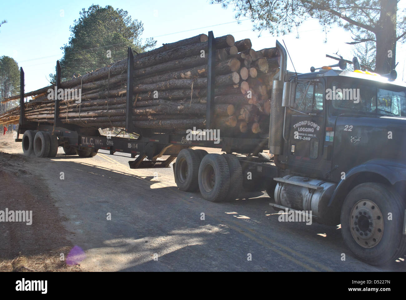 Pulpwood High Resolution Stock Photography and Images - Alamy