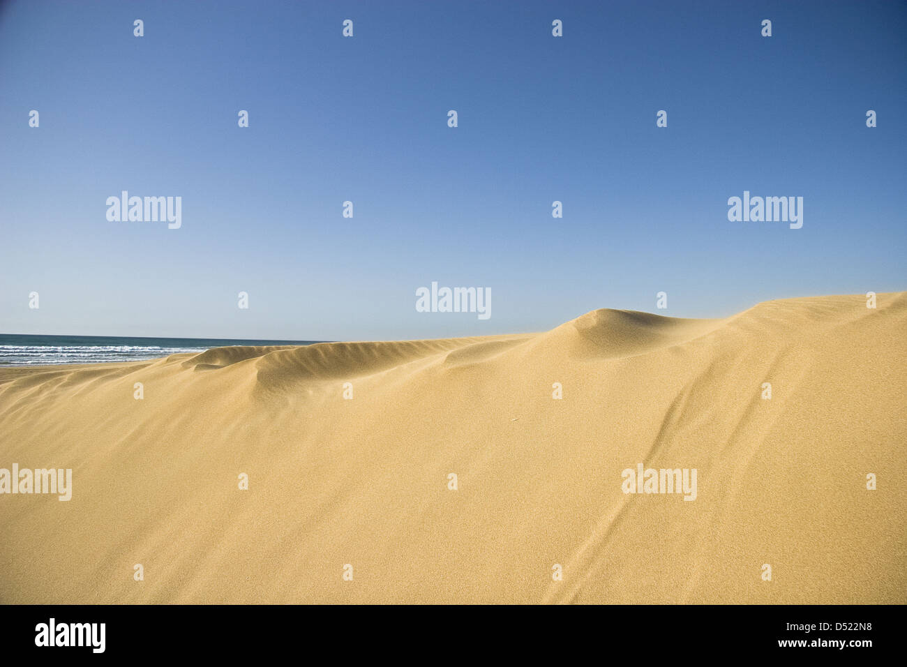 Atlantic coast desert hi-res stock photography and images - Alamy