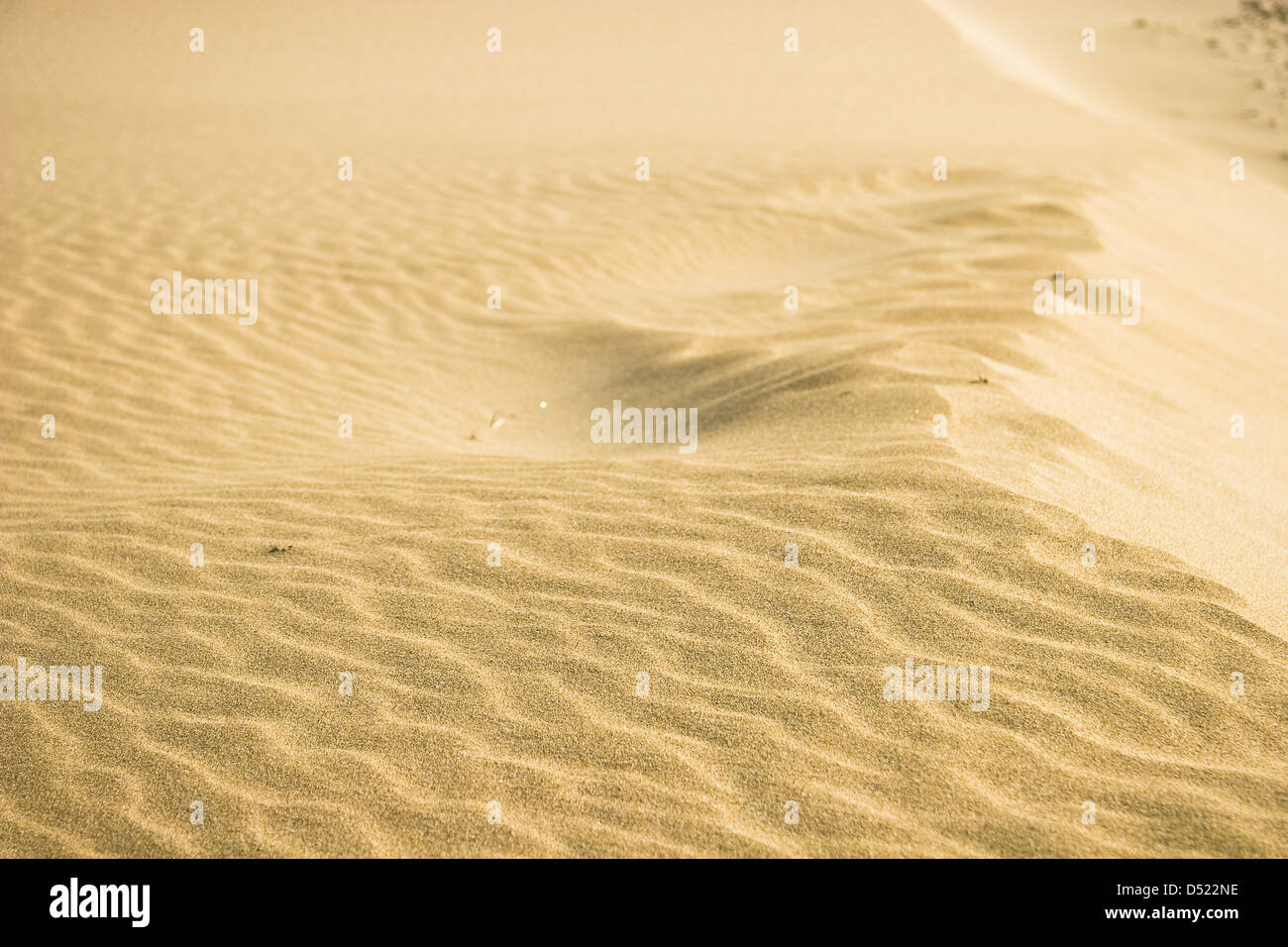Desert color colour colour hi-res stock photography and images - Alamy