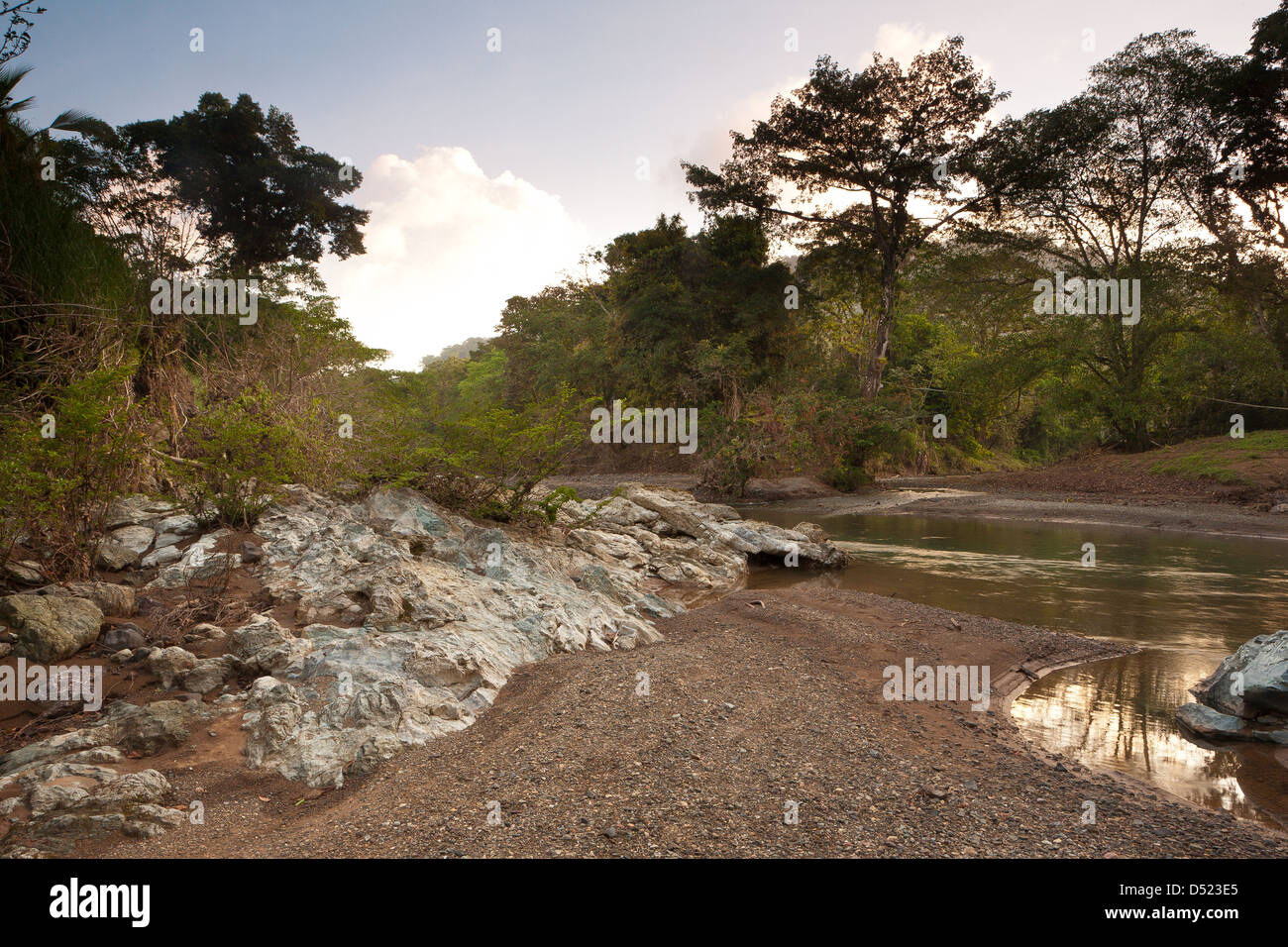 Small river in Chagres national park, Republic of Panama Stock Photo ...