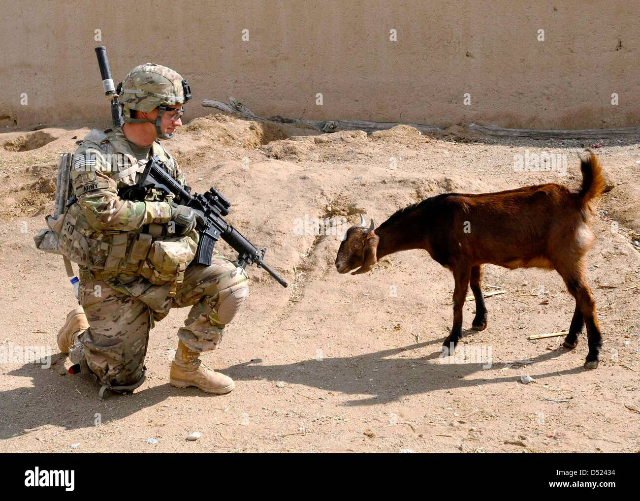 US Army soldier keeps security during a patrol as a curious goat check ...