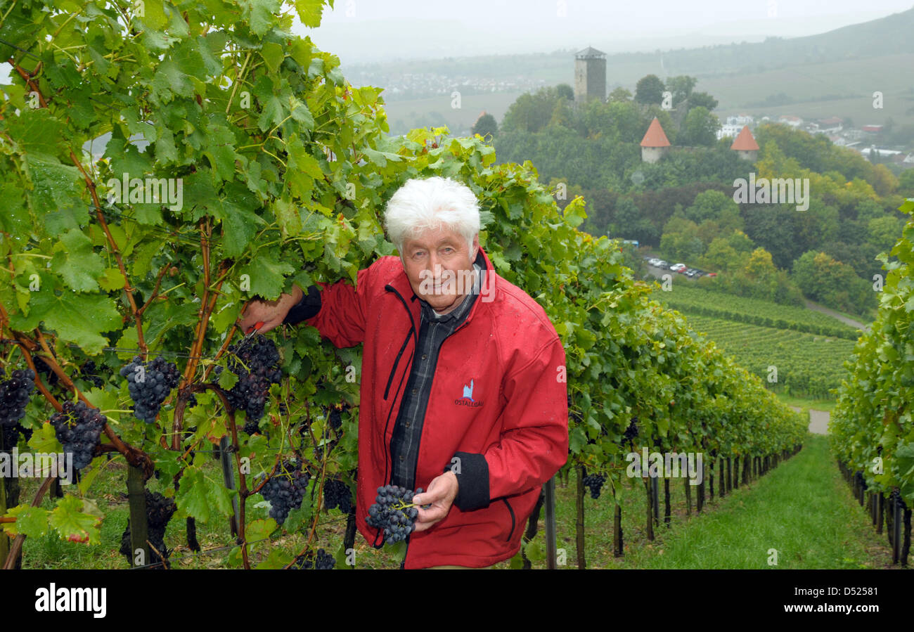 Choir master Gotthilf Fischer helps some vine makers among his circle ...